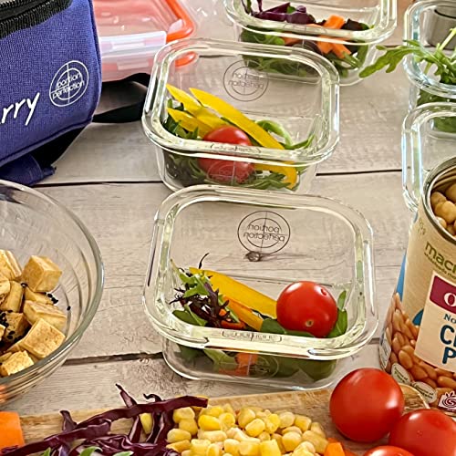 Bariatric Portion Control Lunchbox/Meal Prep Glass Containers 3pk with 100 Cal Snack Container Set, Practical Meal Prep, Gastric Sleeve, Bypass or Band with Protein, Carbs & Veg