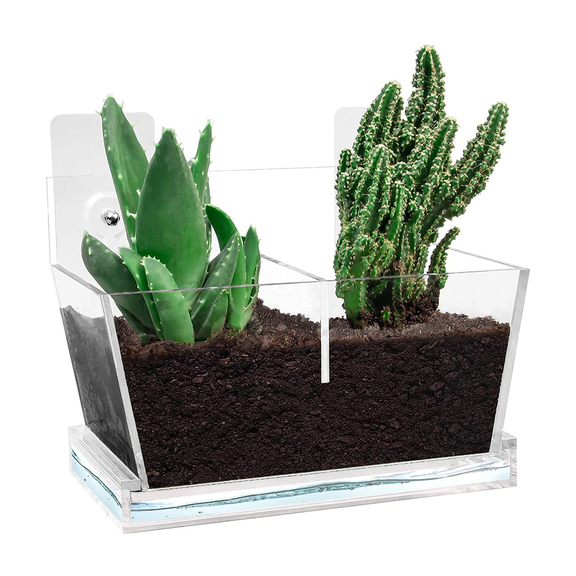 Generic Hanging Window Plant Shelf in Clear Acrylic with Bonus Wall Mounted Herb or Flower Pot – 2 Height Adjustable Shelves, Kitchen Window Garden, Indoor Plants, Display Shelf. L20” x H34” x D6”