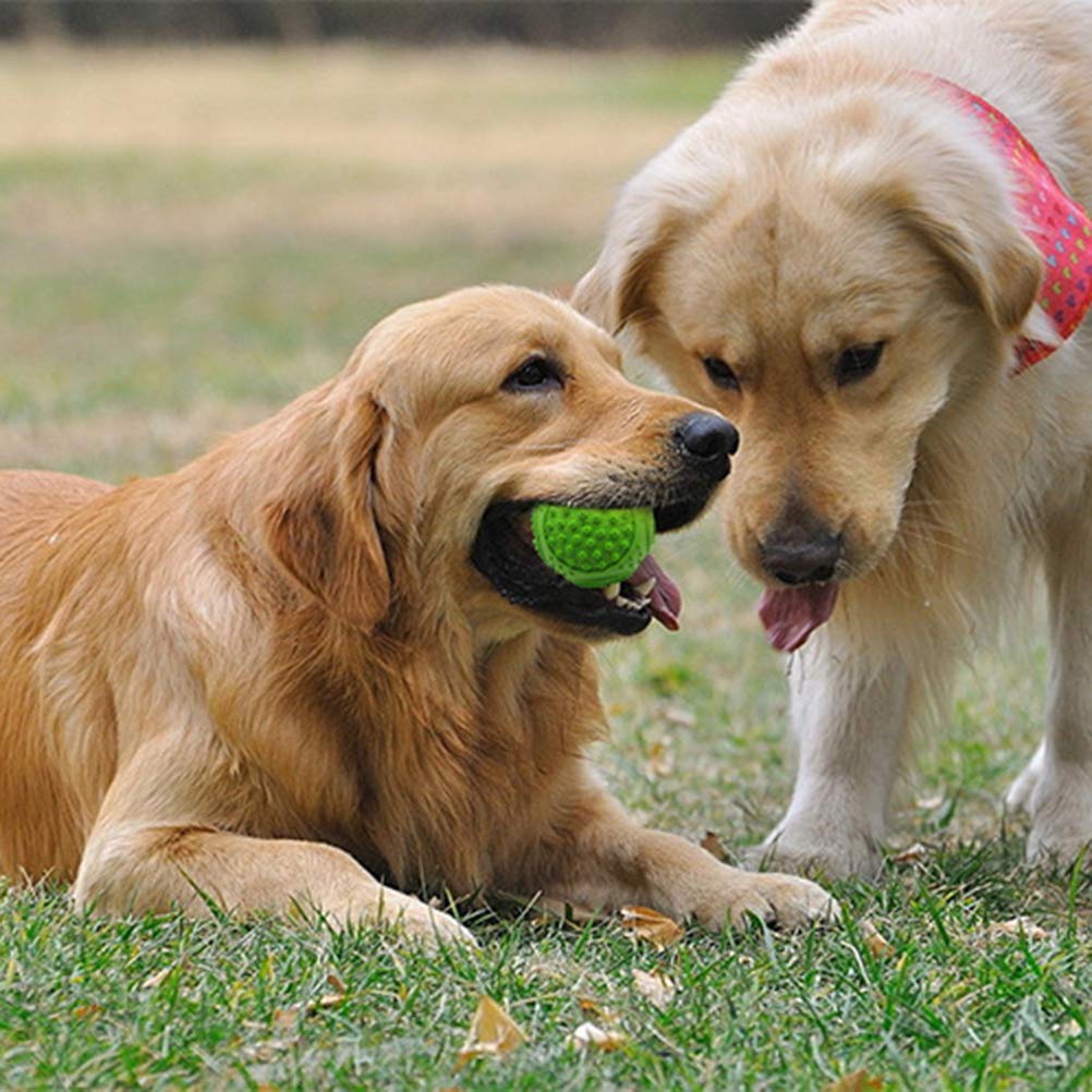 Ball Toy Molar Ball Tooth Grinding Toy Rubber Chew Toy for Pet Dog (Size L 7.5cm)