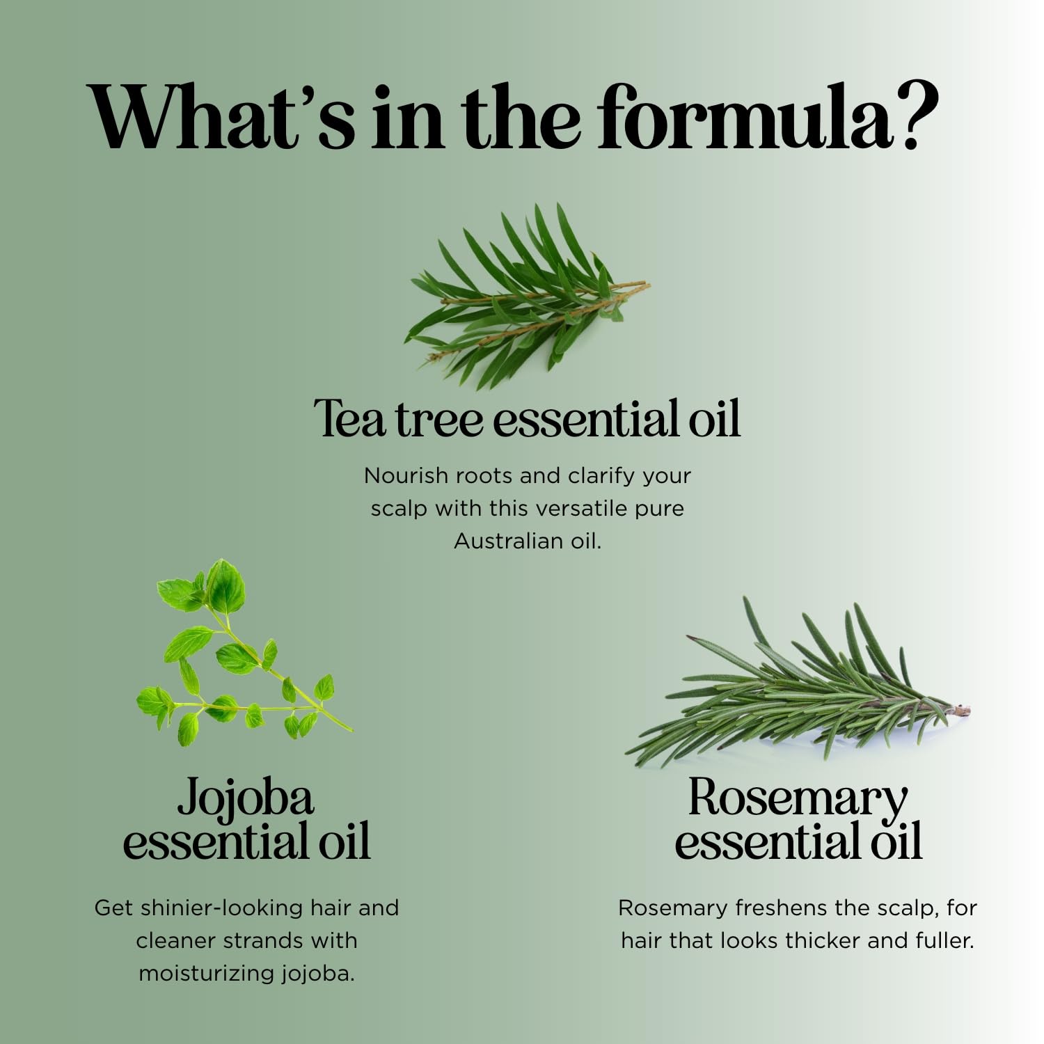 Invigorating Tea Tree Mint Shampoo - Rosemary Mint Shampoo for Oily Hair with Tea Tree Oil for Hair - Aromatherapy Clarifying Shampoo for Build Up Dry Scalp and Flakes with Essential Oils for Hair