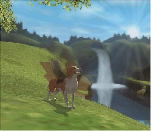 Dog's Life (Renewed)