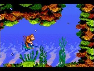 Donkey Kong Country (Renewed)