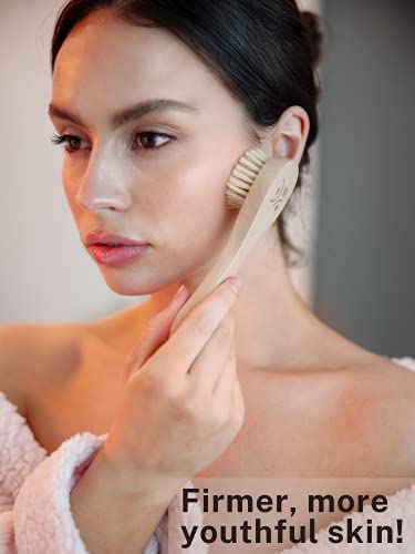 Vegan Dry Brush for Cellulite and Lymphatic Drainage Massage, Natural Firm and Soft Brushes, Cactus Bristles, Dry Skin for Face and Body Set for Brushing, Scrub with Handle