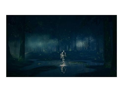 Dark Souls Trilogy (PS4)