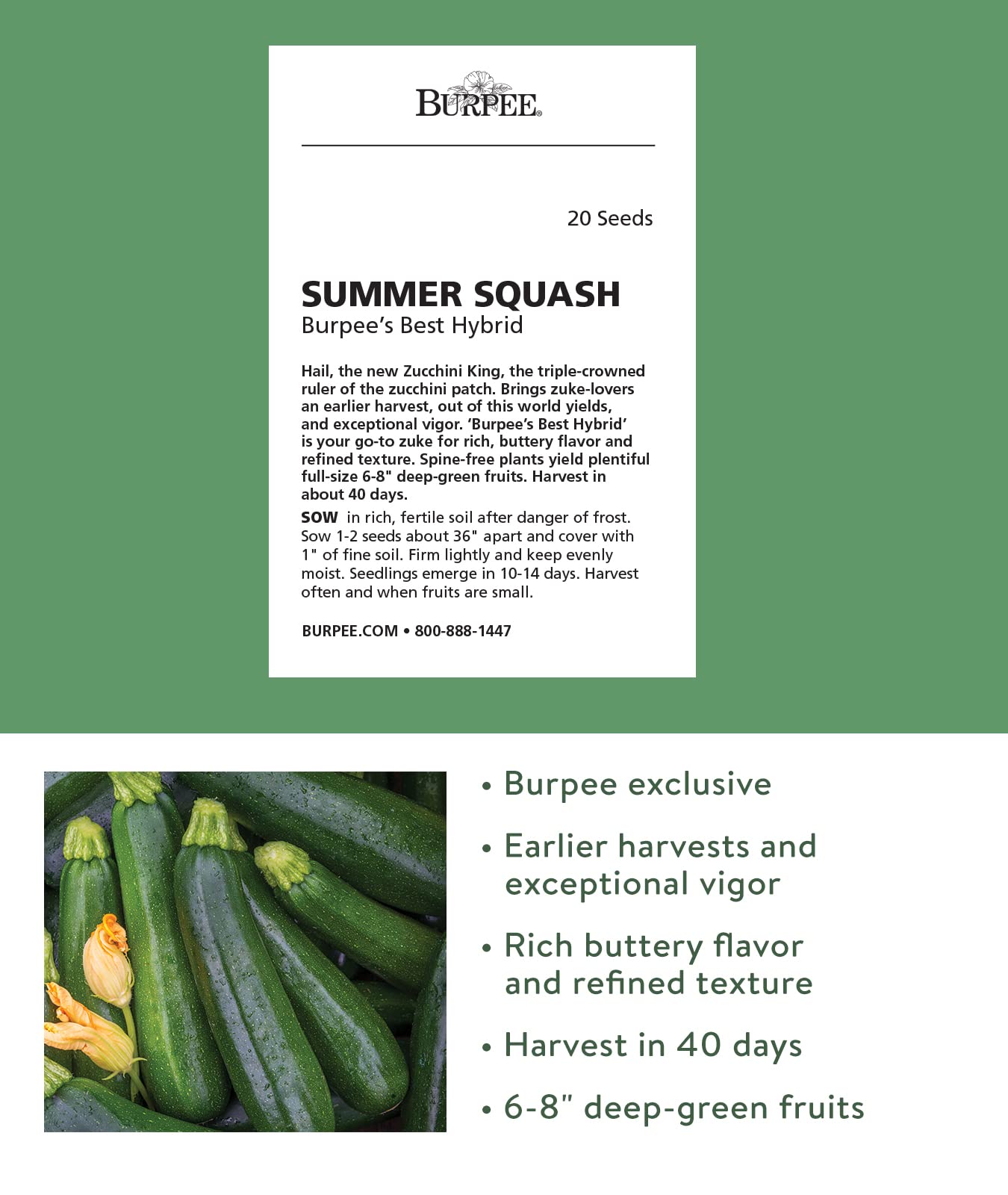 Burpee Best Zucchini Summer Squash Seeds 20 seeds