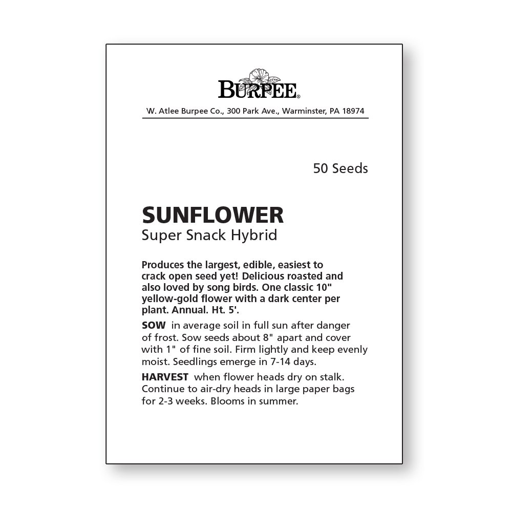 Burpee Super Snack Sunflower Seeds 50 seeds