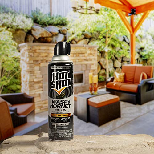 Hot Shot Wasp & Hornet Killer Spray (2 Pack), Eliminates The Nest, Sprays Up Tp 27 Feet, for Insects, 17.5 fl Ounce