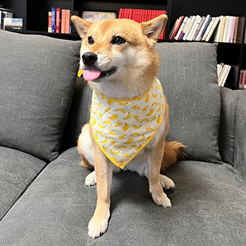 Cartisanat Dog Bandanas, 2 Pack Fruit & Pumpkin Set Triangle Reversible Pet Scarf Adjustable Fit Triangle Bibs Accessories, Multiple Sizes Offered for Small Medium & Large Dogs.