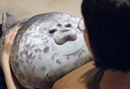 Rainlin Chubby Blob Seal Pillow Plush Animal Toy Stuffed Seal Plushie Cotton Cute Pillow Gray 13.0 inch