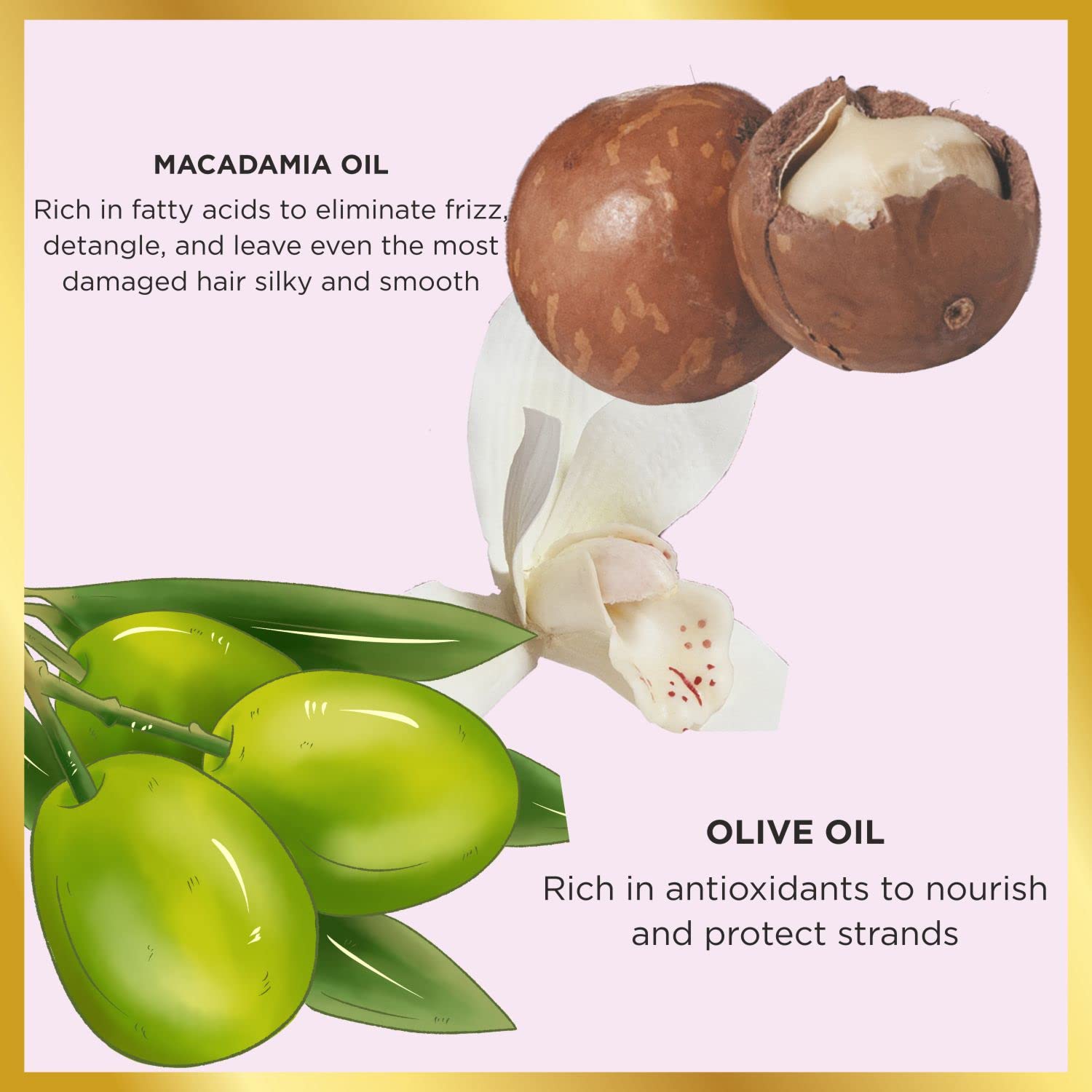 Hask Macadamia Oil Moisturizing Conditioner, 12 Ounce
