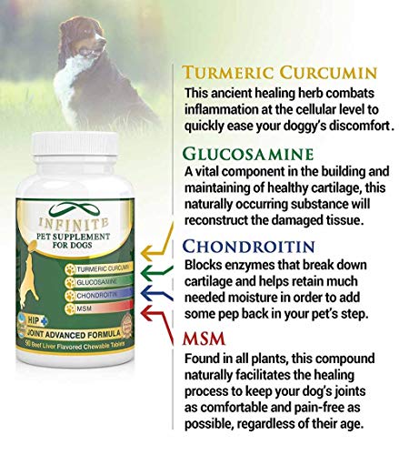 IPL Advanced Hip & Joint Formula - 90 Mobility & Pain Relief Dog Chews - Glucosamine, Chondroitin, MSM, & Turmeric for Superior Joint Health