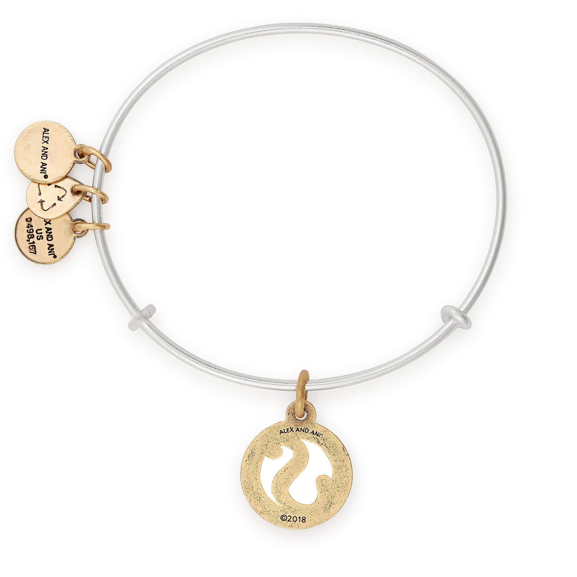 Alex and Ani Women's Initial S II Bangle Two Tone Bracelet, Rafaelian Silver