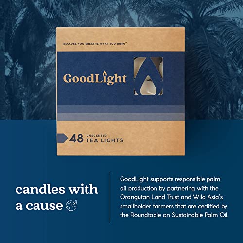 GOODLIGHT 5 Hour Tea Lights 48pk, 48 CT