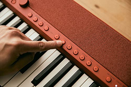 Casio Casiotone CT-S1 61-Key Portable Digital Keyboard - Red Bundle with Adjustable Stand, Bench, Headphones, Sustain Pedal, Instructional Book, Instructional DVD, and Austin Bazaar Polishing Cloth
