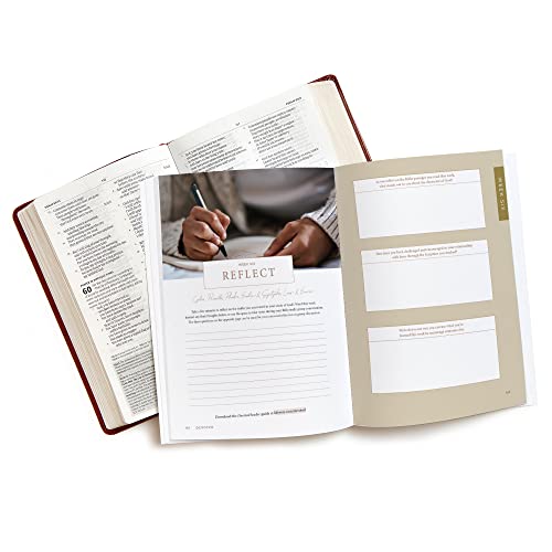 Devoted: 30 Days with Women of the Bible - Devotional Bible Study for Women