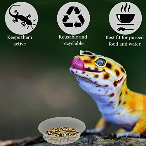 SunGrow Gecko Food and Water Containers, Reusable, Recyclable, Disposable Cups, 0.5 oz Capacity Plastic Transparent Dishes, Fits Various Reptile Feeder, 1.6โ Diameter, 0.6โ Depth, 100 Pcs