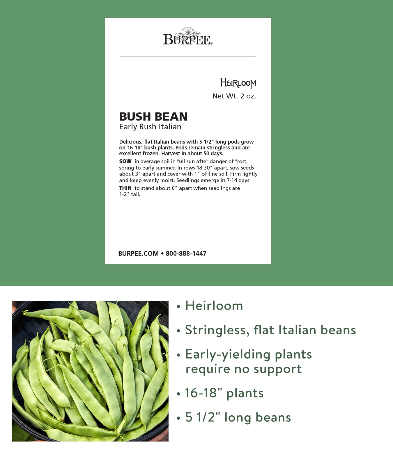 Burpee Early Italian Bush Bean Seeds 2 ounces of seed