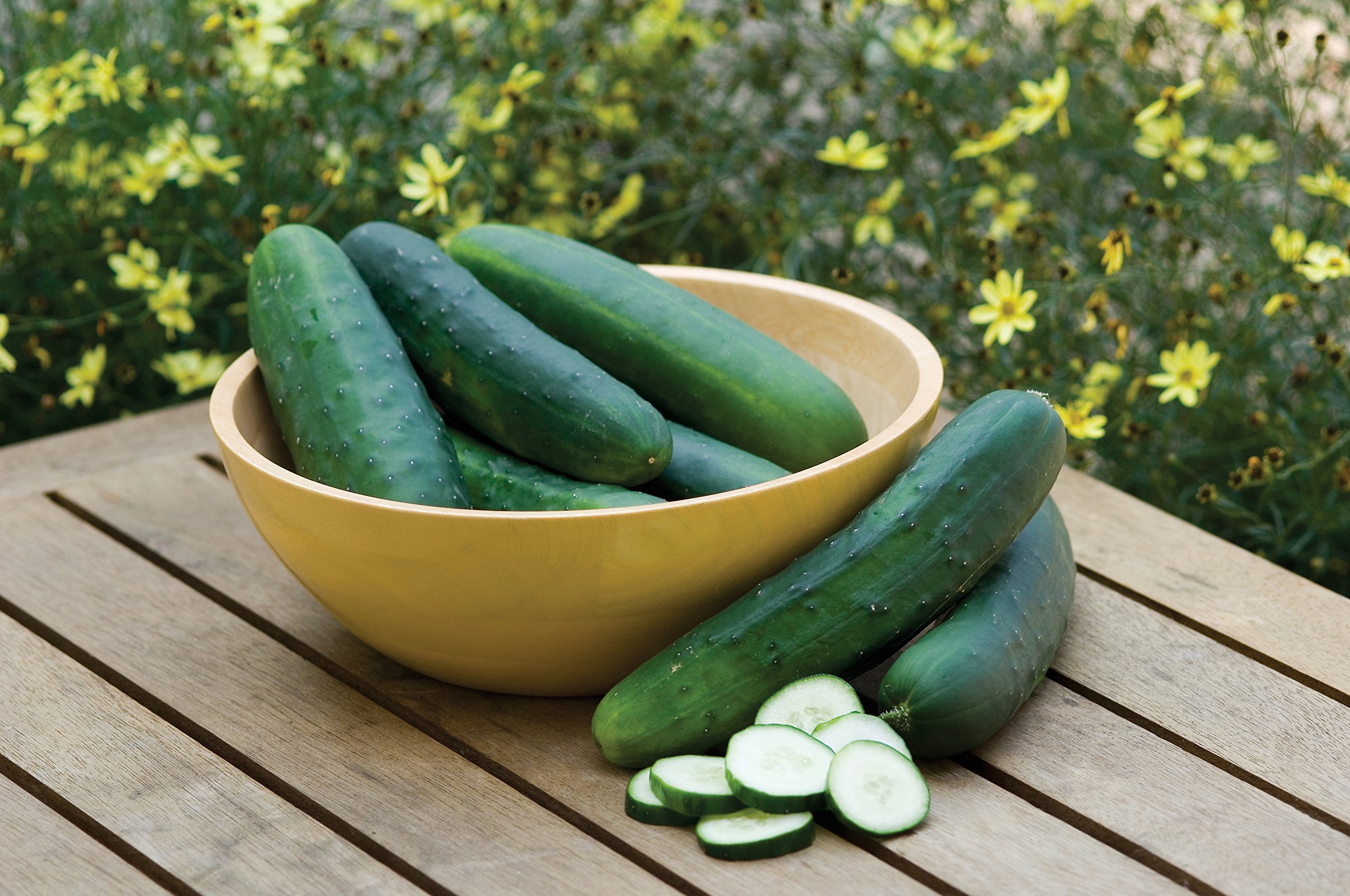 Burpee Hybrid II Slicing Cucumber Seeds 30 seeds