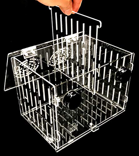 Reefing Art Magnetic Acclimation Breeder Box 4.5" / 8" /12" for Fish Anemone Coral Strong N52 Magnets for 1/2" Glass (8"x6"x6")