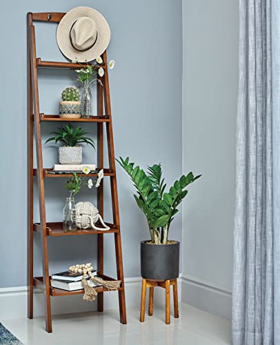Coaster Furniture 5-Shelf Ladder Bookcase Solid Wood Frame Cherry 18.5" W x 15.75" D x 71.75" H 804369