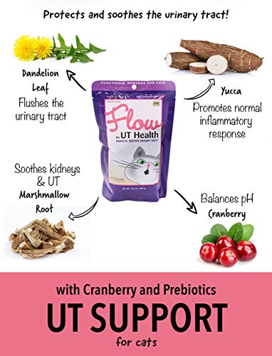 In Clover Flow Soft Chews for Daily Support for UT Health in Cats, Scientifically Formulated with Natural Ingredients for a Healthy Urinary Tract. 2.1oz. (60gm)