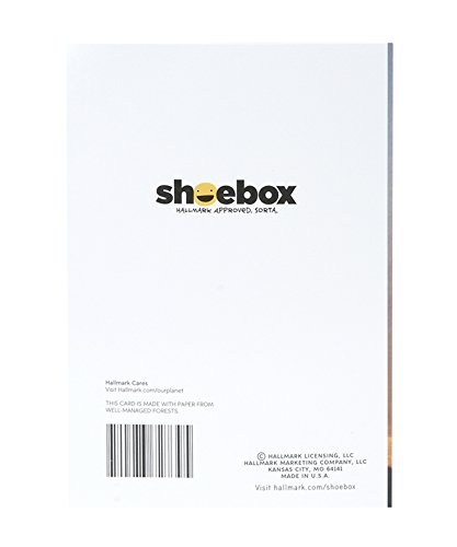 Hallmark Shoebox Funny Birthday Card (A Very Special Person), Jesus (0349RZF3005)