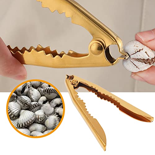 DEWIN Crab Cracker, Gold Crab Cracker Non Slip Robust Stainless Steel Nutcracker Chestnut Walnut Opener Clip for Kitchen