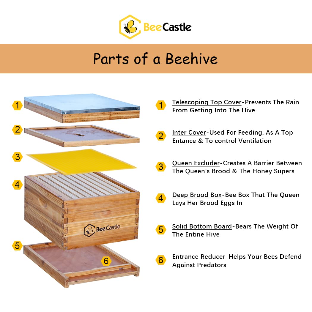 BeeCastle 10-Frame Bee Hives and Supplies Starter Kit,Beehive Kit Dipped in 100% Beeswax,Bee Keeping Supplies-All Beginners Kit Includes Beekeeping Supplies Tool Set and Bee Suit.