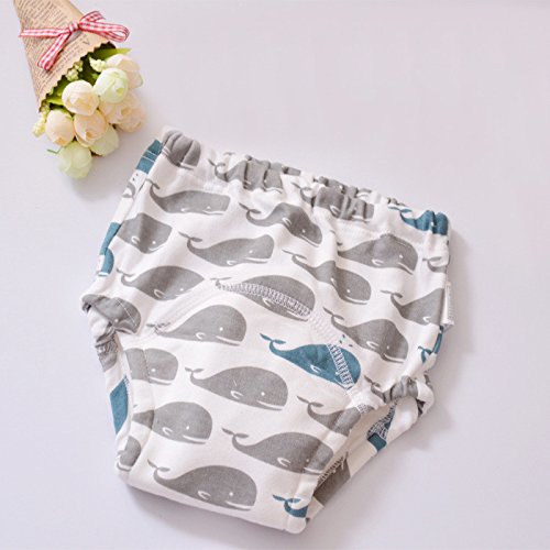 Potty Training Pants for Baby and Toddler Boys, Baby underwear 4 pack (90(2T), B4)