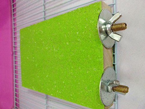 Hypeety Colorful Bird Perch Stand Platform for Parrot Macaw African Greys Budgies Parakeet Cockatiels Natural Wood Paw Grinding Clean Cage Toy (Random Color)(B)