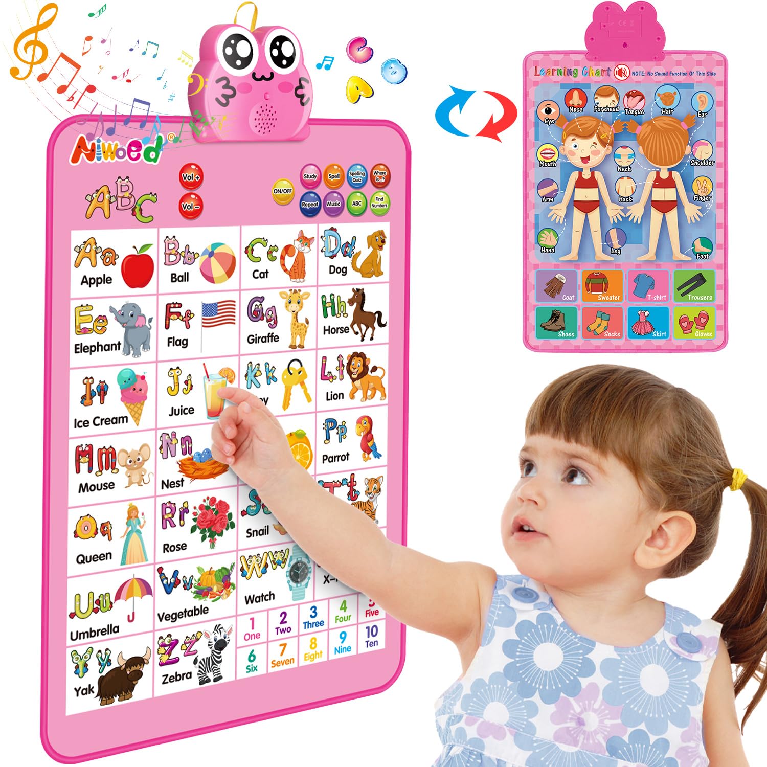 Electronic Interactive Double-Sided Alphabet Wall Chart, Talking ABC & 123 & Music & Learning Poster, Educational Toddlers Toys for Ages 2-4 and Up Kids Gifts, Best for Preschool Boys & Girls(Pink)