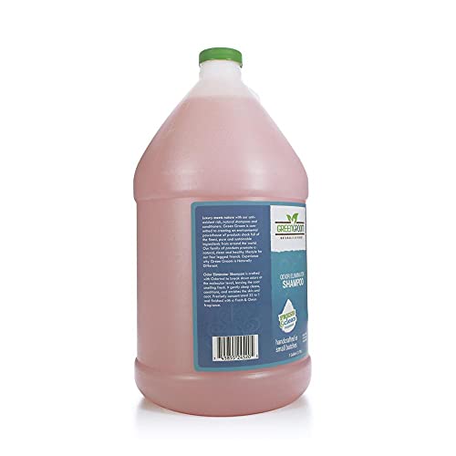 Green Groom Odor Eliminator Dog Shampoo, 1 Gallon - Crafted with Odortrol, All Natural Ingredients, Antioxidant Rich, Eliminates Smelly Pet Odors, Powerful Deodorizing Formula, Professional Grade