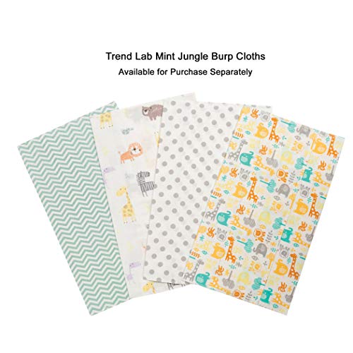 Mint Jungle 4 Pack Flannel Blankets - 4 Deluxe Flannel Blankets, Chevron, Crayon Jungle, Dot, Lullaby Zoo Print, Mint, Yellow, Gray, Orange, 30 in x 30 in