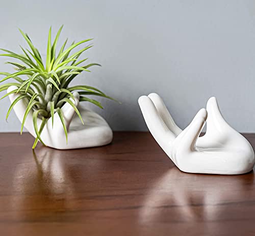 Dingq 2 Pack Air Plant Holder,Hand Shape Stand,Cute Levitating Plant Container,Pot Tillandsia Planter for Home Decoration, White (fZa500116)