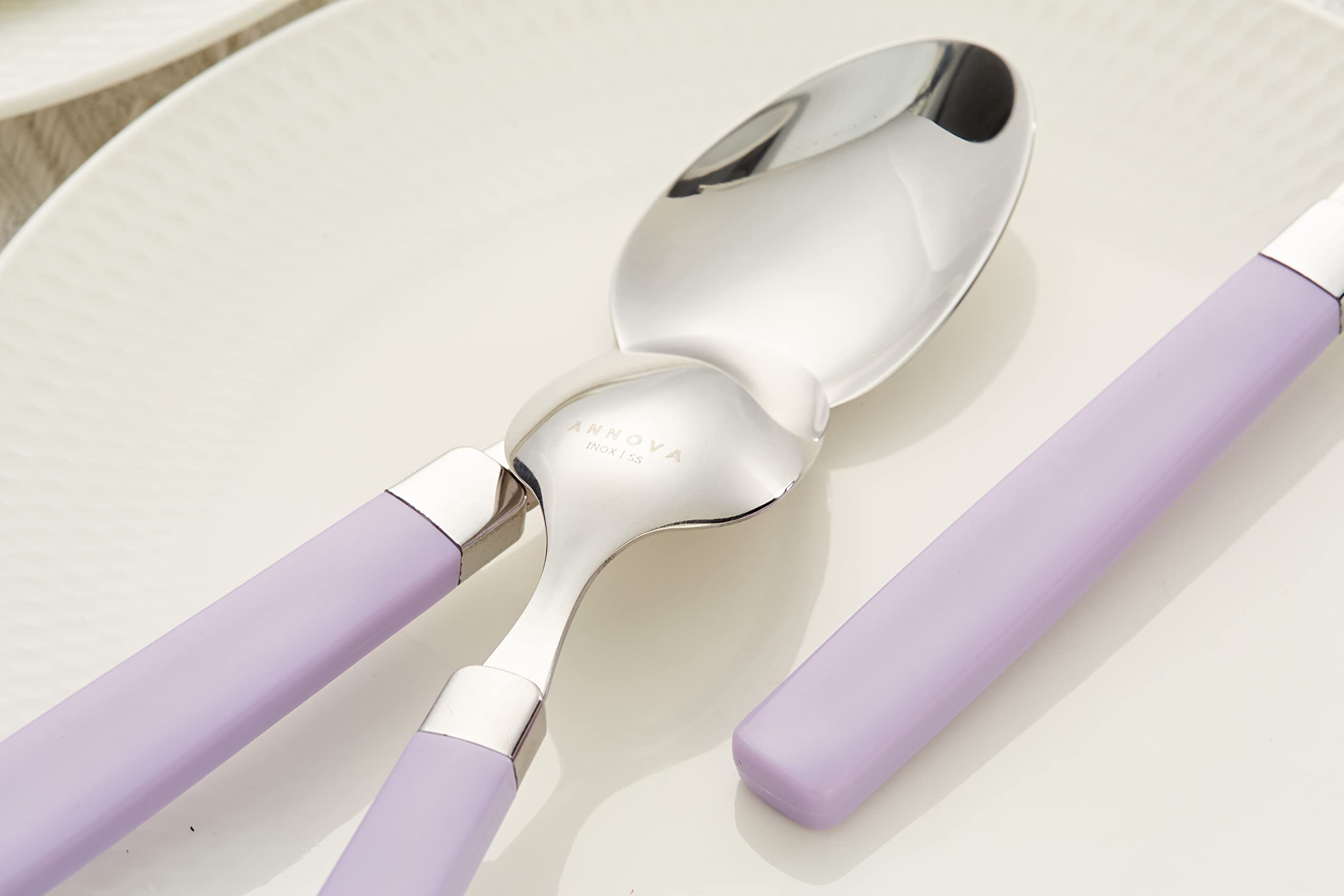 ANNOVA 20 Pieces Stainless Steel Flatware/Cutlery Set - Color Handles - 4 x Dinner Forks, 4 x Salad Forks, 4 x Dinner Knives, 4 x Dinner Spoons, 4 x Dessert Spoons - Service for 4 (Lilac, 20 Pieces)
