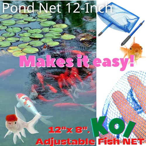CORISRX BEST OF YOUR LIFESTYLE 12"x 8" Koi Adjustable Fish NET Handle 30~54cm Aluminum Fishing Pond Tank Blue