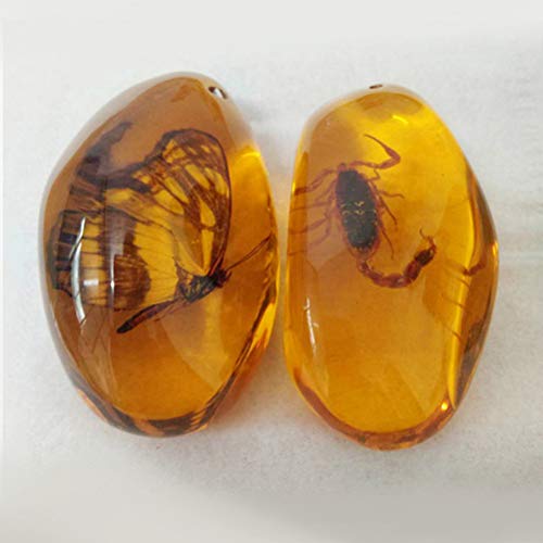 VORCOOL 5pcs Amber Fossil with Insects Samples Stones Crystal Specimens Home Decorations Collection Oval Pendant (Random Pattern)