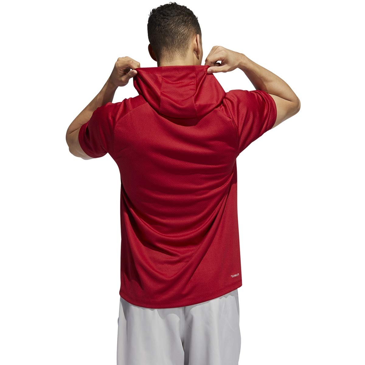 adidas Men's FreeLift Daily Hoodie Tee, Active Maroon, Medium