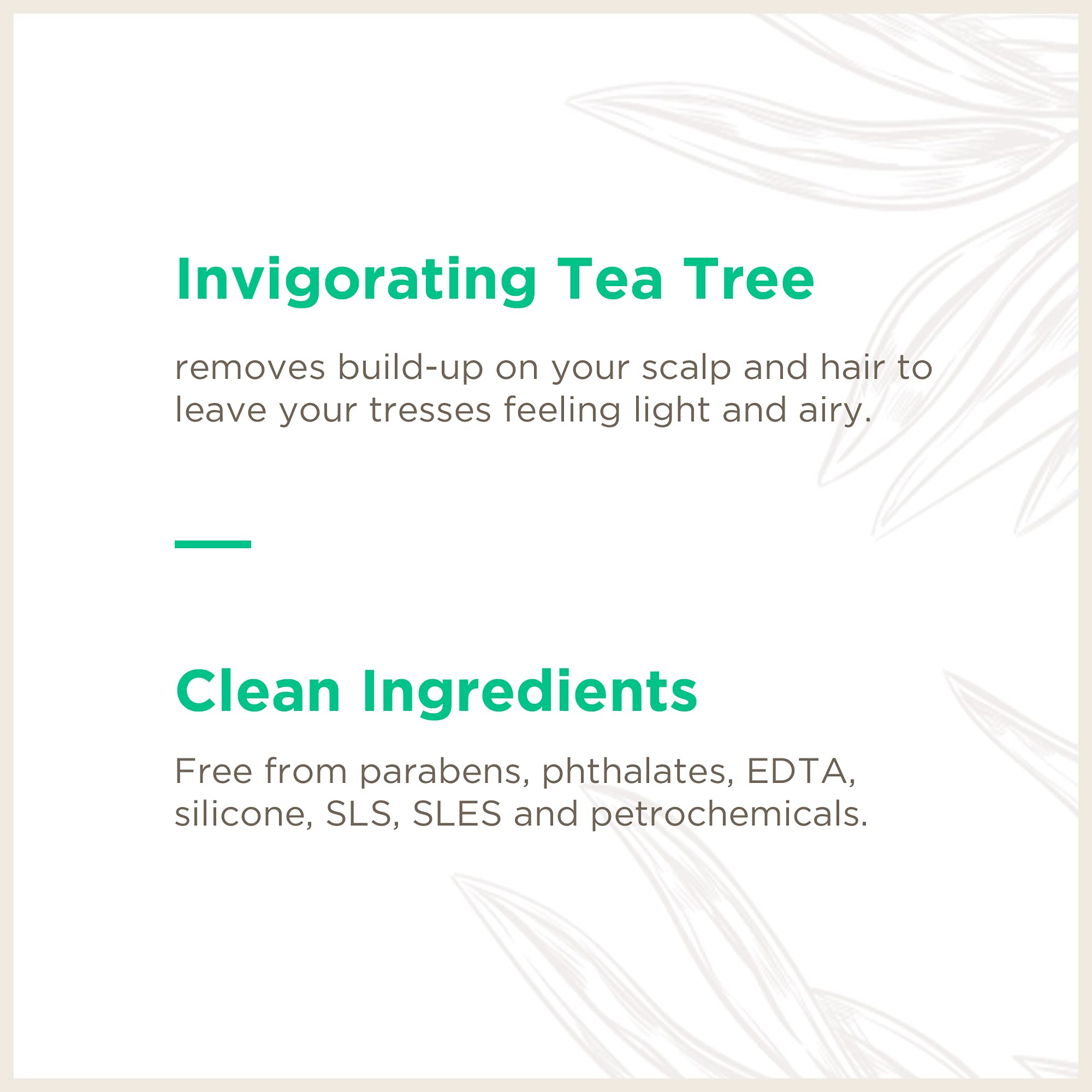Soapbox Tea Tree Travel-Size Shampoo ? 3.3oz ? 6 Ct