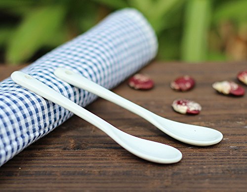 AWHOME White Porcelain Spoons Coffee, Tea, Yogurt and Ice-cream, Cutlery Fitting Ceramic Spoons 5 Inch Set of 10