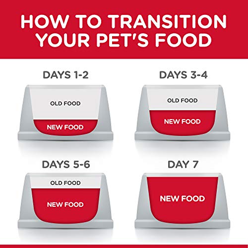 Hill's Science Diet Wet Cat Food, Adult, Savory Salmon Recipe, 5oz Cans, 24 Pack