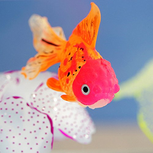 HOT Item! Decor Goldfish Aquarium Decoration Artificial Glowing Effect Fish Tank Glow in The Dark Ornament (M, D)
