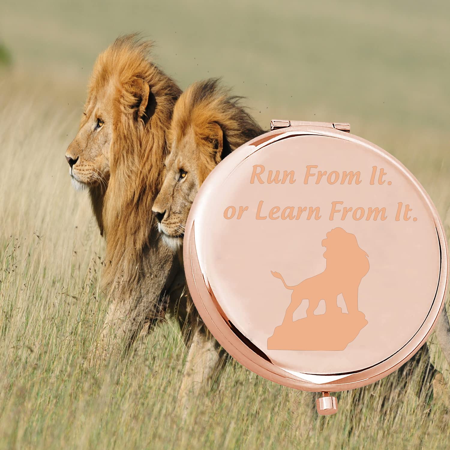 BEKECH Lion Movie Inspired Gift Inspirational Compact Mirror Run Learn from It or Learn from It Makeup Mirror for Women Girls (Lion Movie Mirror)