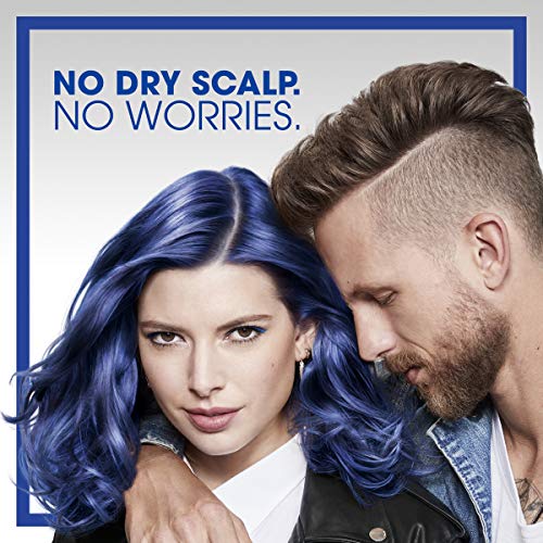 Head & Shoulders Dry Scalp Care Daily-Use Anti-Dandruff Paraben Free Shampoo, 13.5 Fl Oz