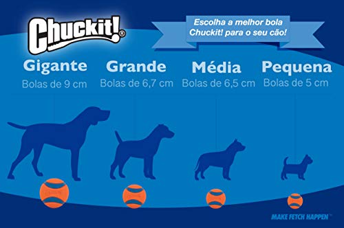 Chuckit Dog Tennis Ball Dog Toy, Small (2 Inch Diameter) for dogs 0-20 lbs, Shrink Wrap Pack of 2