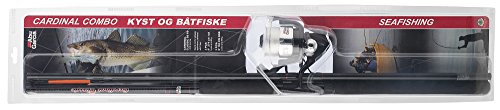 Abu Garcia Cardinal Sea Fishing Twin Tip 2/3-Piece with Classic 60 Front Drag Fishing Reel - Black, 9 ft