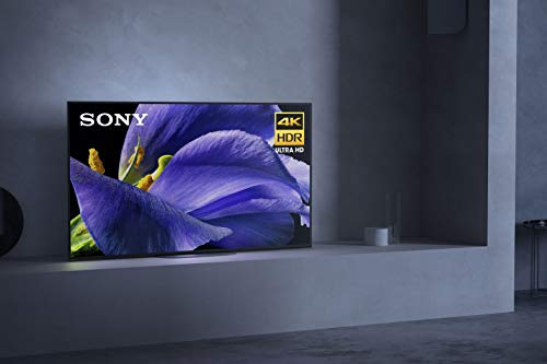 Sony XBR-65A9G 65-inch TV: MASTER Series BRAVIA OLED 4K Ultra HD Smart TV with HDR and Alexa Compatibility - 2019 Model