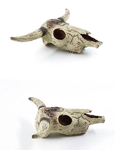Leoyoubei Aquarium Decoration, Fish Tank Small Skull,Fish Turtle Hidden, Bonsai beautification. Cave Landscape Pet Reptile House Shrimps & Snails Love Them (Cattle Skull)