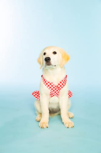 Doggy Parton Red Gingham Overalls Dress for Pets, Small (22120769)
