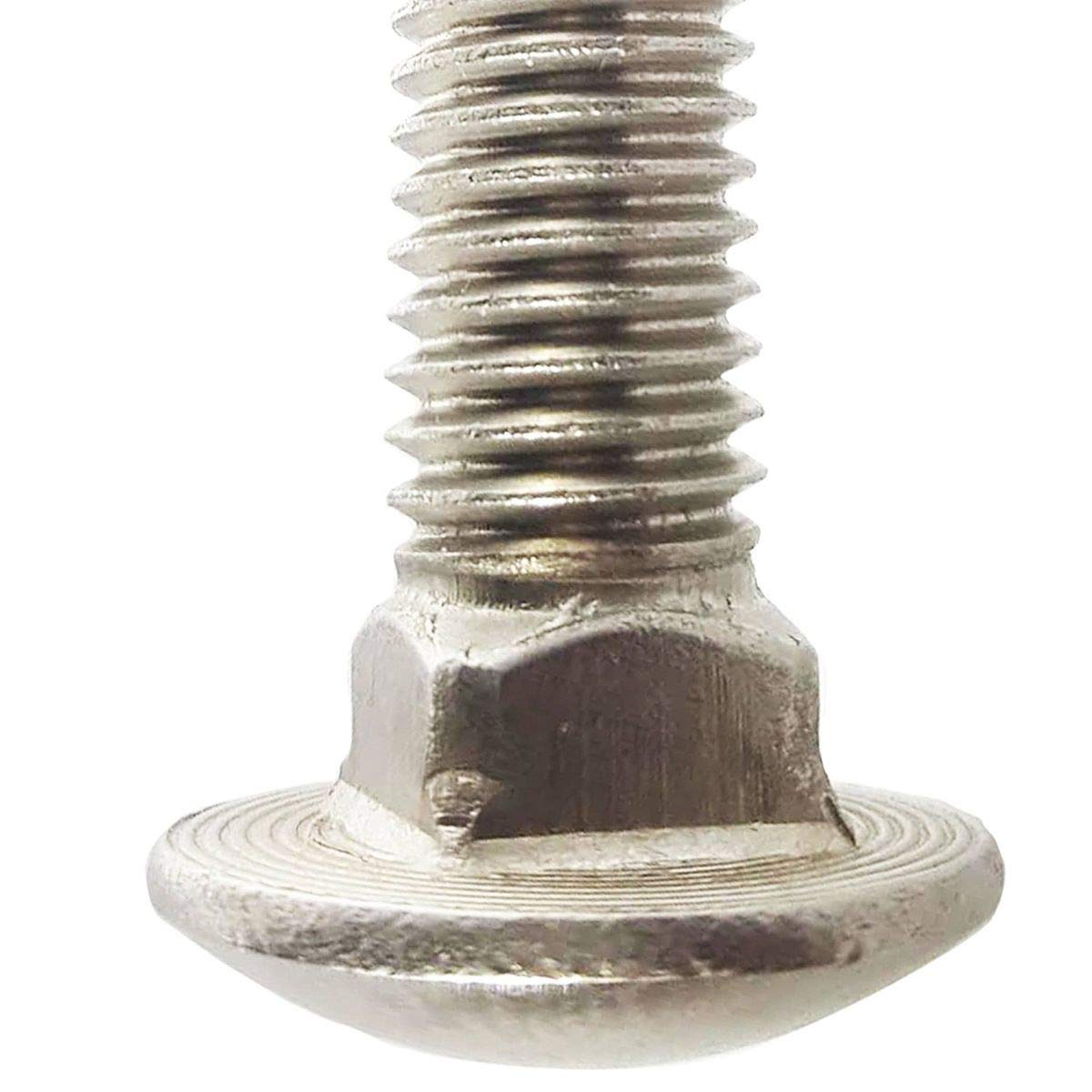 Carriage Bolt Stainless Steel 1/4-20 X 3/4 Qty 25